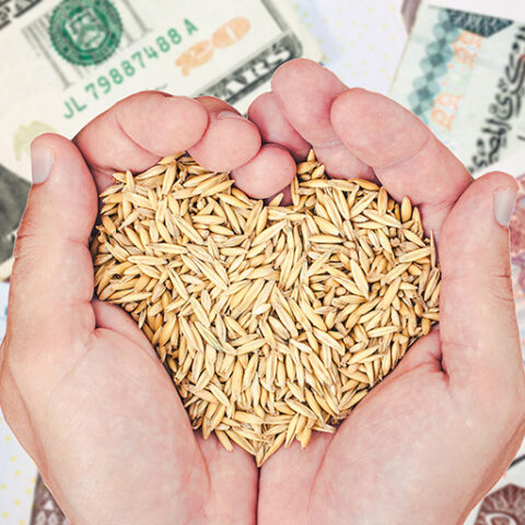 RiceTec Global | Transforming Rice Agriculture Around the World