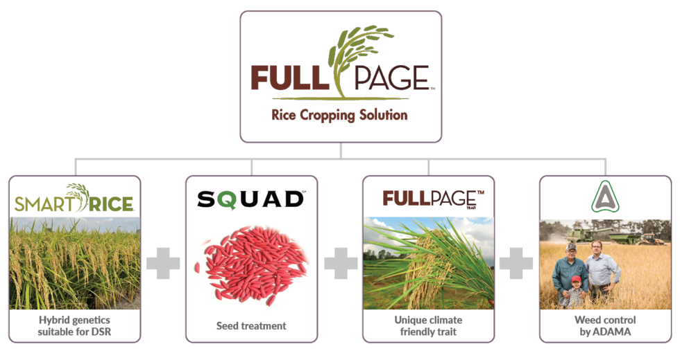 Seeds and Solutions | RiceTec Global
