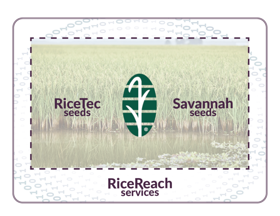 Seeds and Solutions | RiceTec Global