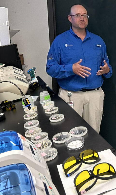 Innovation | RiceTec Global