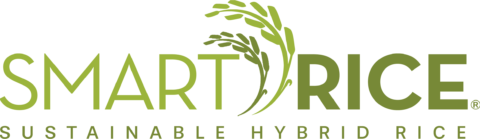 Seeds and Solutions | RiceTec Global