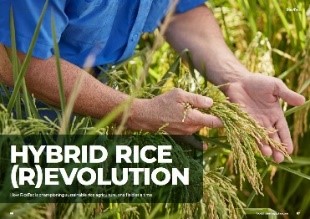 News and Press Releases | RiceTec Global